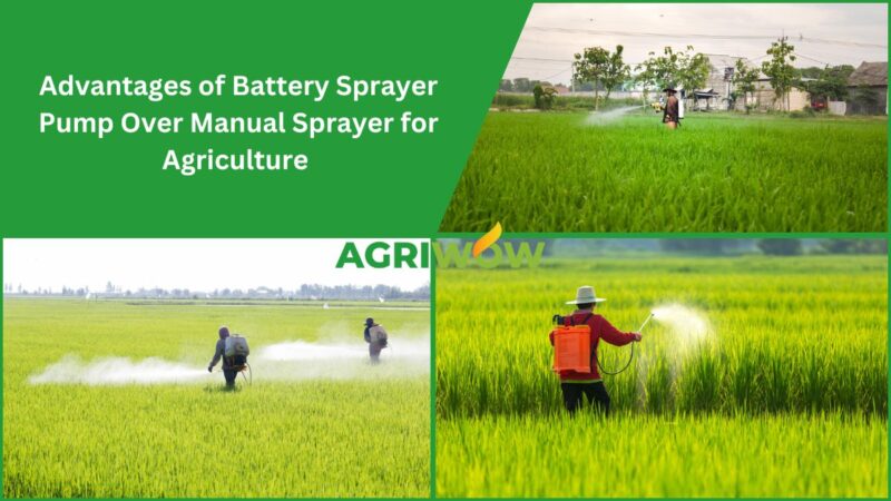 Battery Sprayer Not Working? 7 Reasons and How to Fix Them - Agriwow