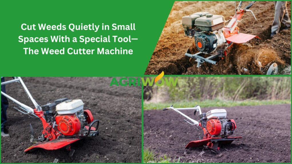 Cut Weeds Quietly in Small Spaces With a Special Tool—The Weed Cutter ...
