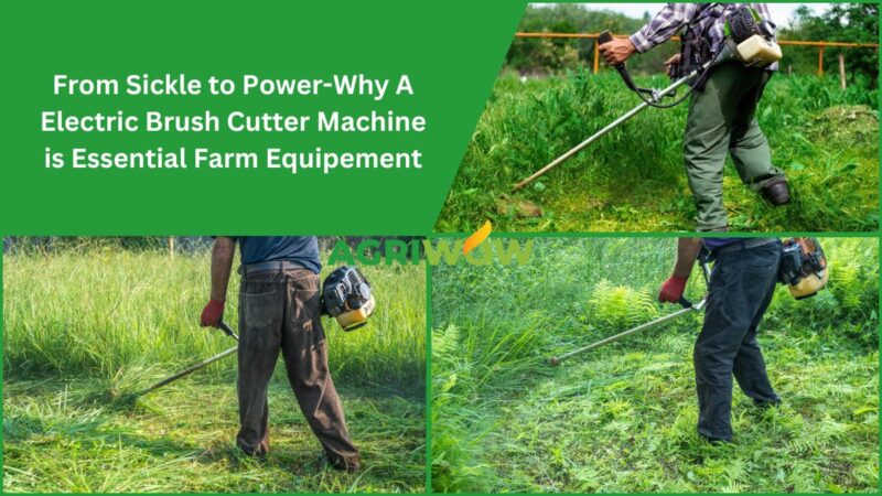 From Sickle to Power-Why A Electric Brush Cutter Machine is Essential ...