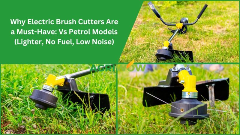 Why Electric Brush Cutters Are a Must-Have: Vs Petrol Models (Lighter ...